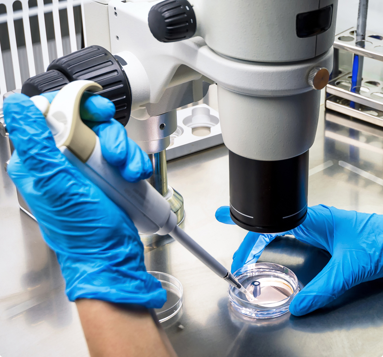 MetroBiotech, LLC | Pioneering NAD+ Pharmaceuticals
